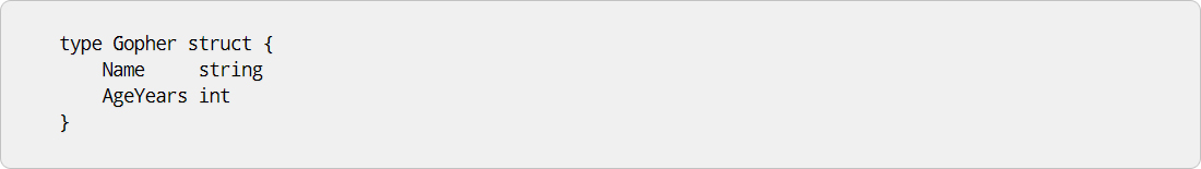 12 Go Best Practices programming that bring efficient output