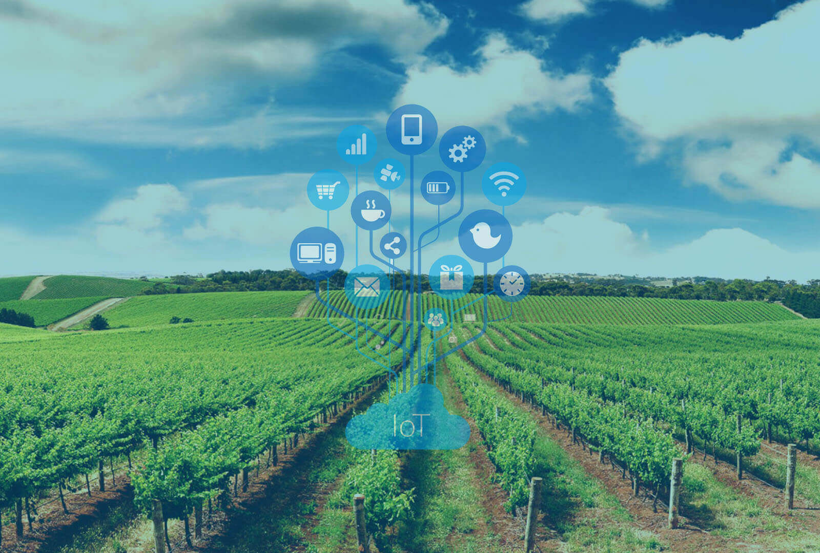 IoT Solutions for Farmers and Agriculture Industry IoT Solutions for Farmers and Agriculture Industry